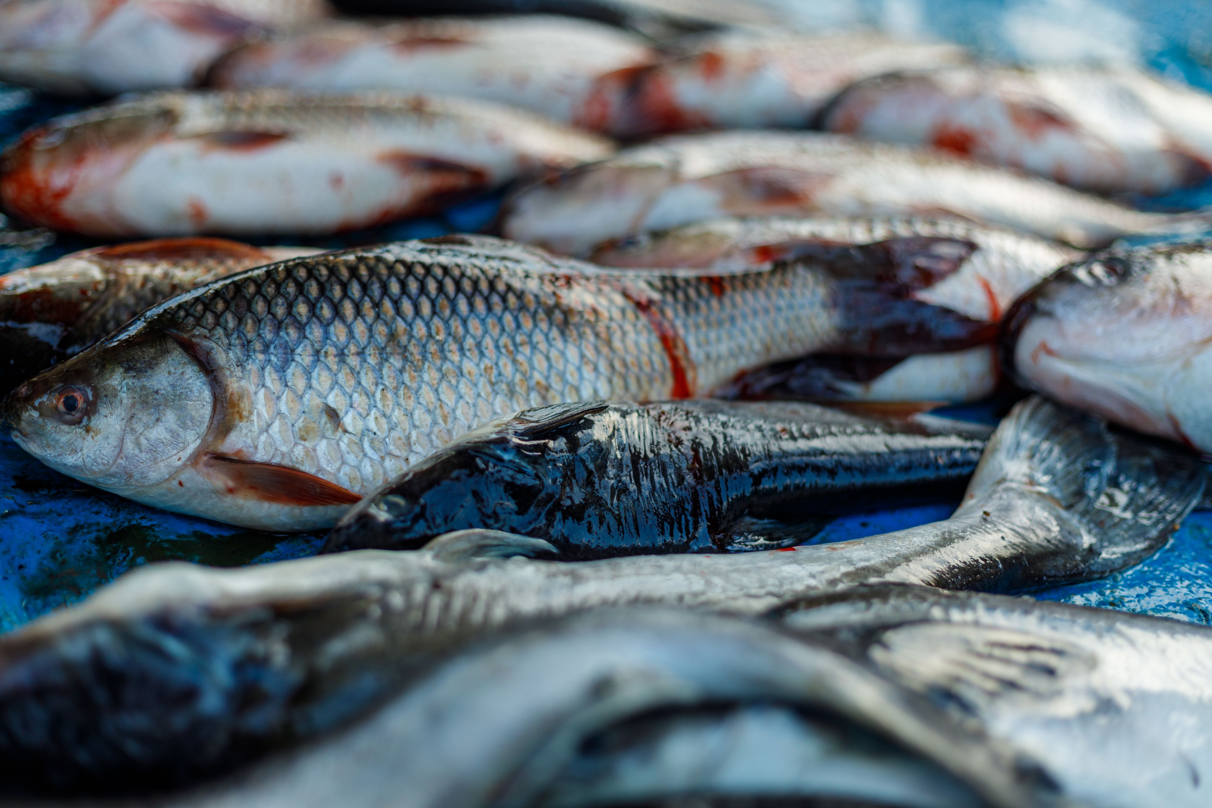 How A Simple Farm Pond Helped Paulina Mundu Realise Her Childhood Dream ...
